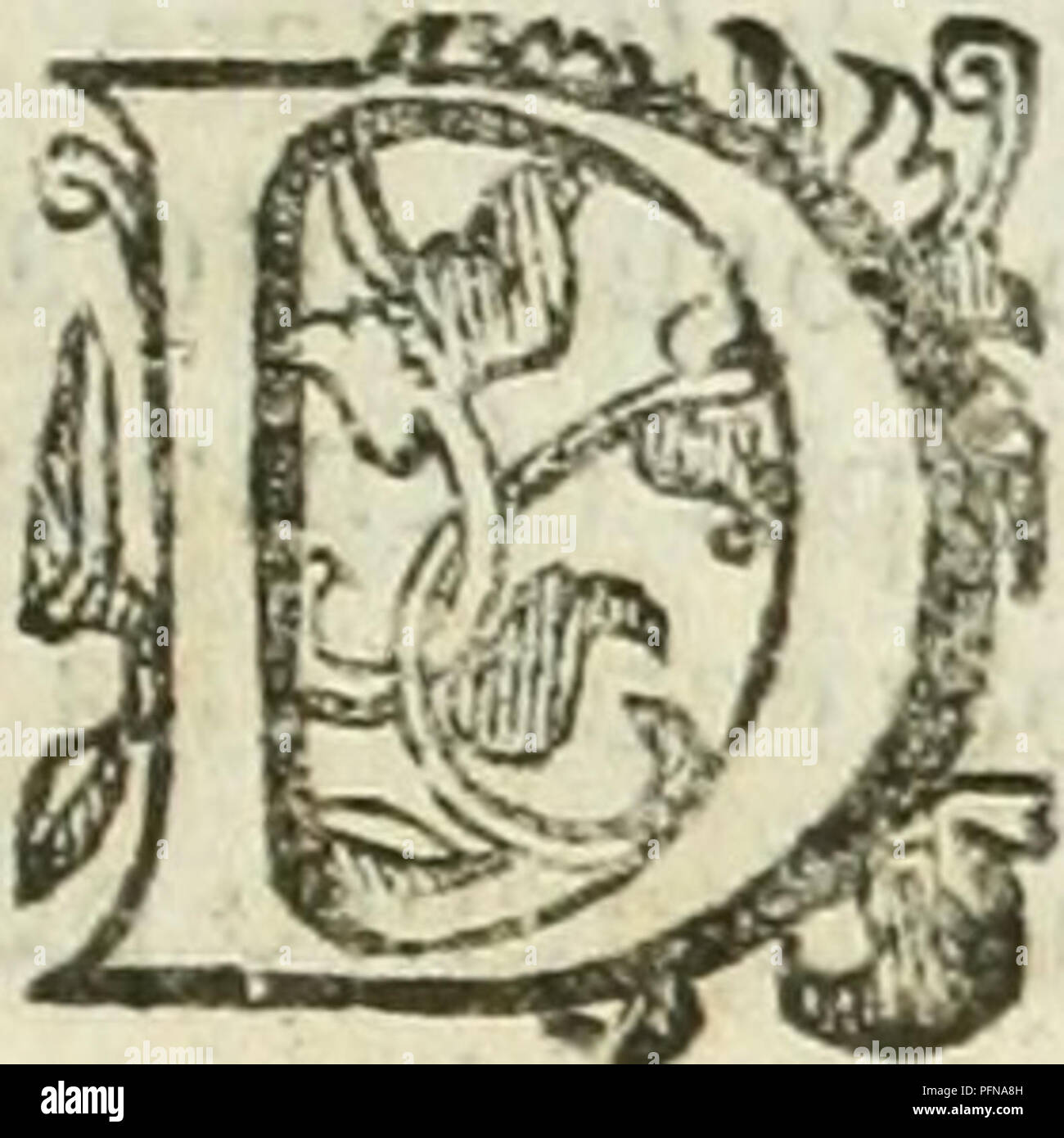 This page presents an alchemical recipe discussing medicinal plants and ...