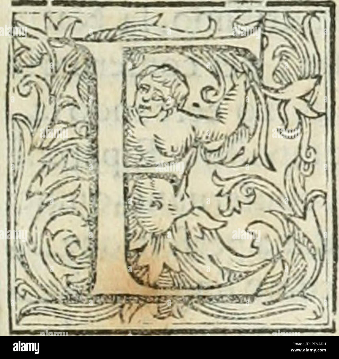 An alchemical work on the Elixir of Life, including recipes and ...