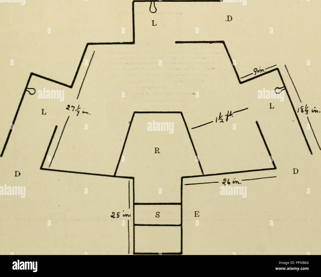 This study examines the delayed reaction in animals and children as ...