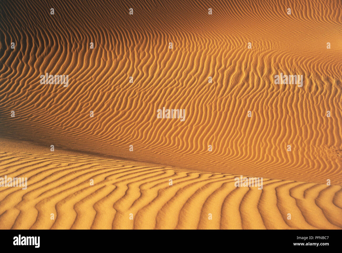 Ochre colour hi-res stock photography and images - Alamy