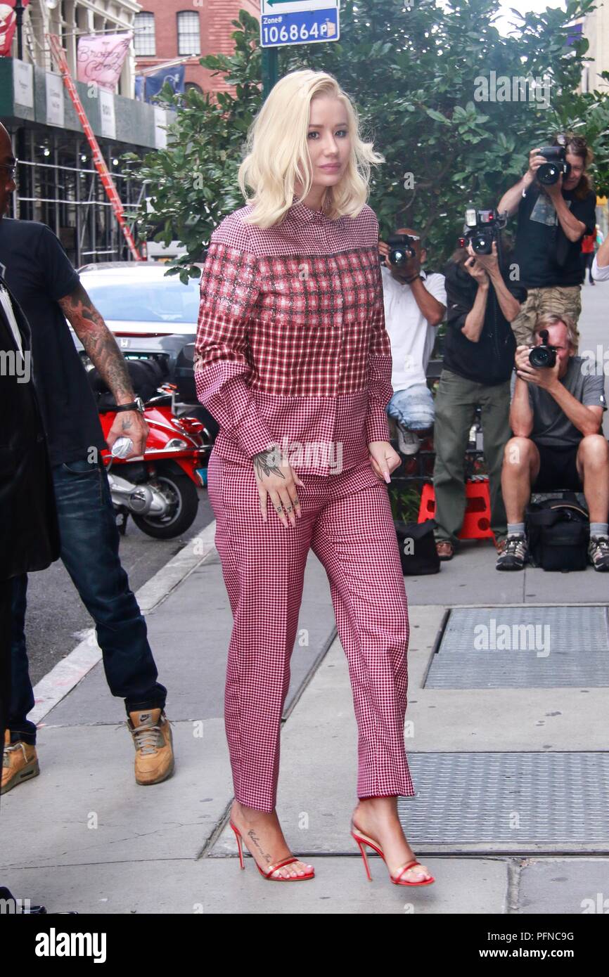 Pink iggy hi-res stock photography and images - Alamy