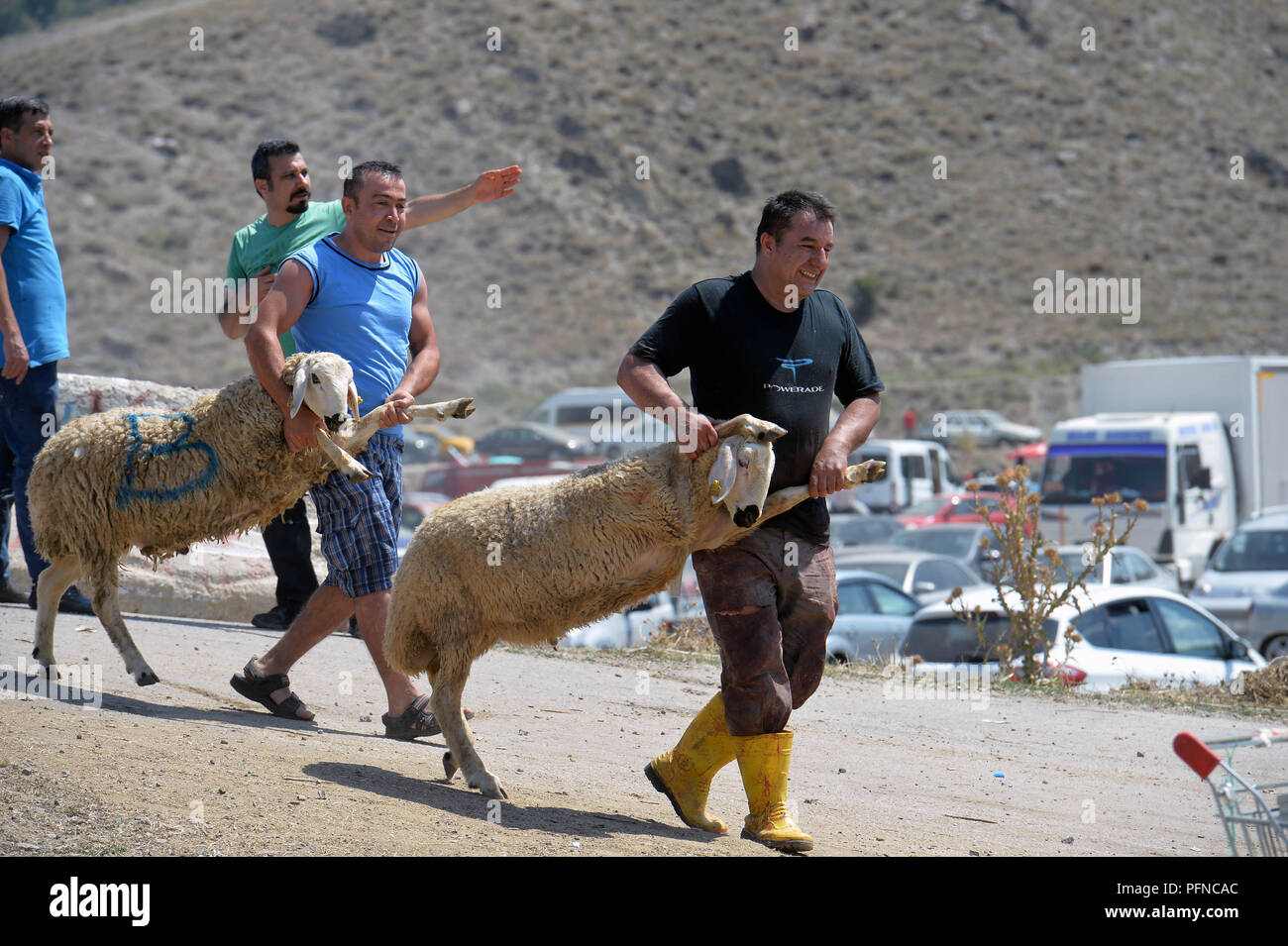 Ankara, Turkey. 21st Aug, 2018. People buy sheep at a livestock market ...