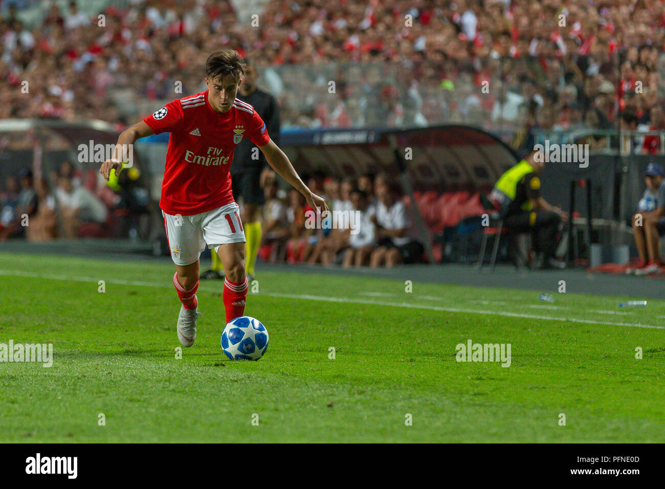 Sl benfica forward franco cervi hi-res stock photography and images - Alamy
