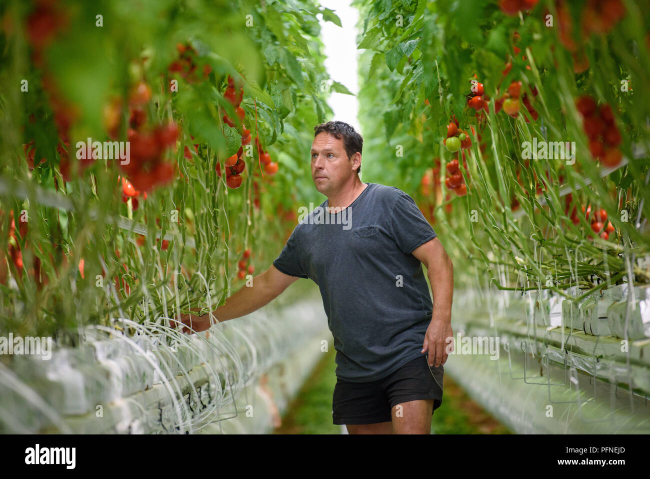 Fritz boss hi-res stock photography and images - Alamy