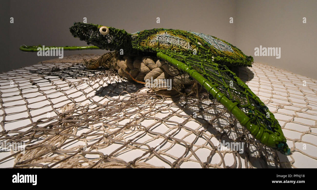 Bremen, Germany. 22nd Aug, 2018. A Sea Turtle by Elliot Koonutta, made ...