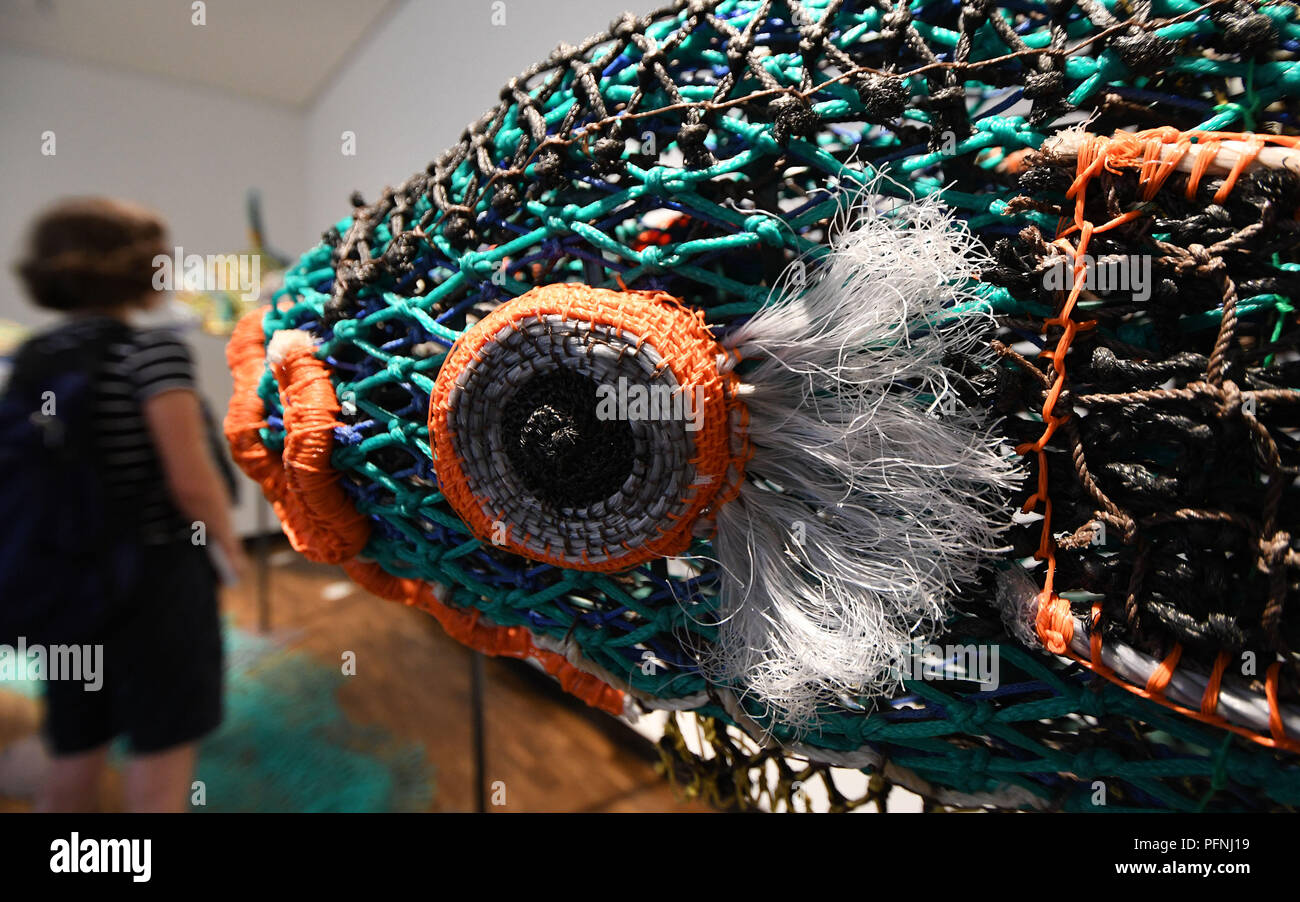 Three dimensional animals hi-res stock photography and images - Alamy