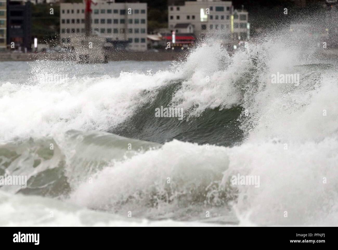 Busan, Korea. 22nd Aug, 2018. High waves High waves crash onto Haeundae ...