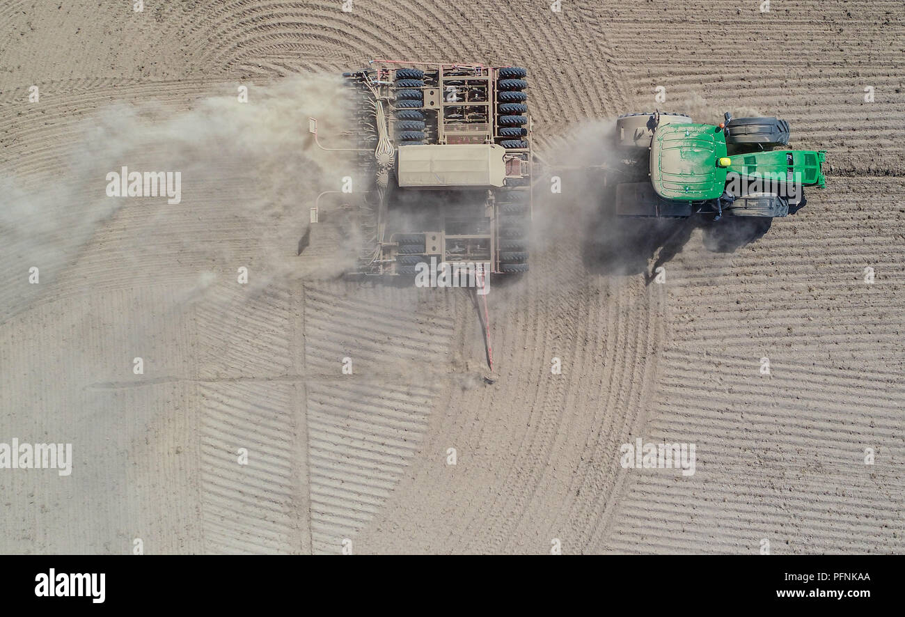 Heinersdorf, Germany. 22nd Aug, 2018. A farmer drills rapeseed into the ...