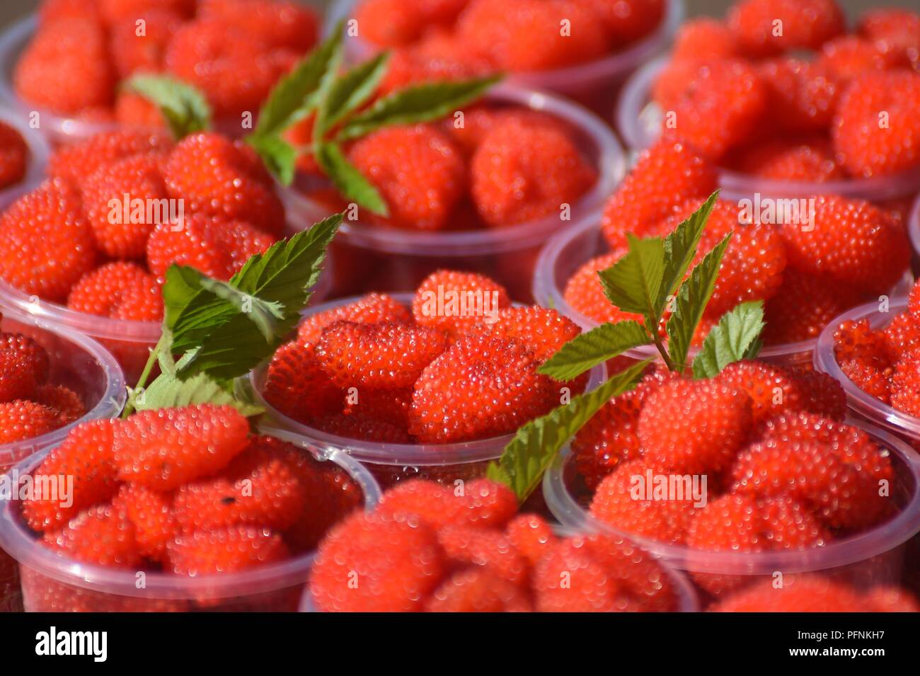 Curepipe, Mauritius. 09th July, 2018. 09.07.2018, Mauritius, Curepipe ...