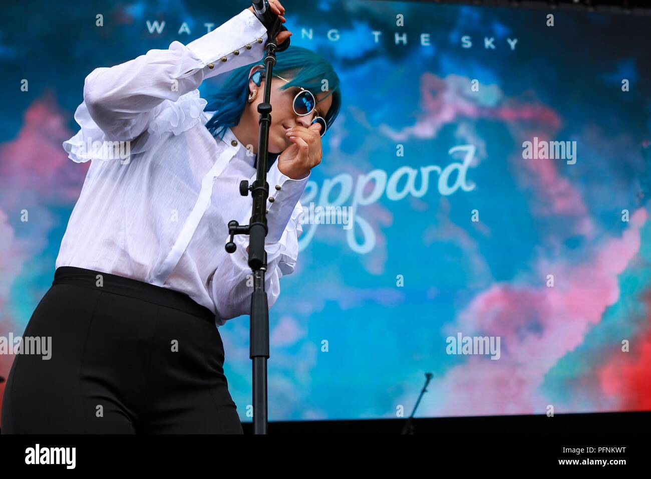 Amy Sheppard, Sheppard on stage for Billboard Hot 100 Music Festival ...