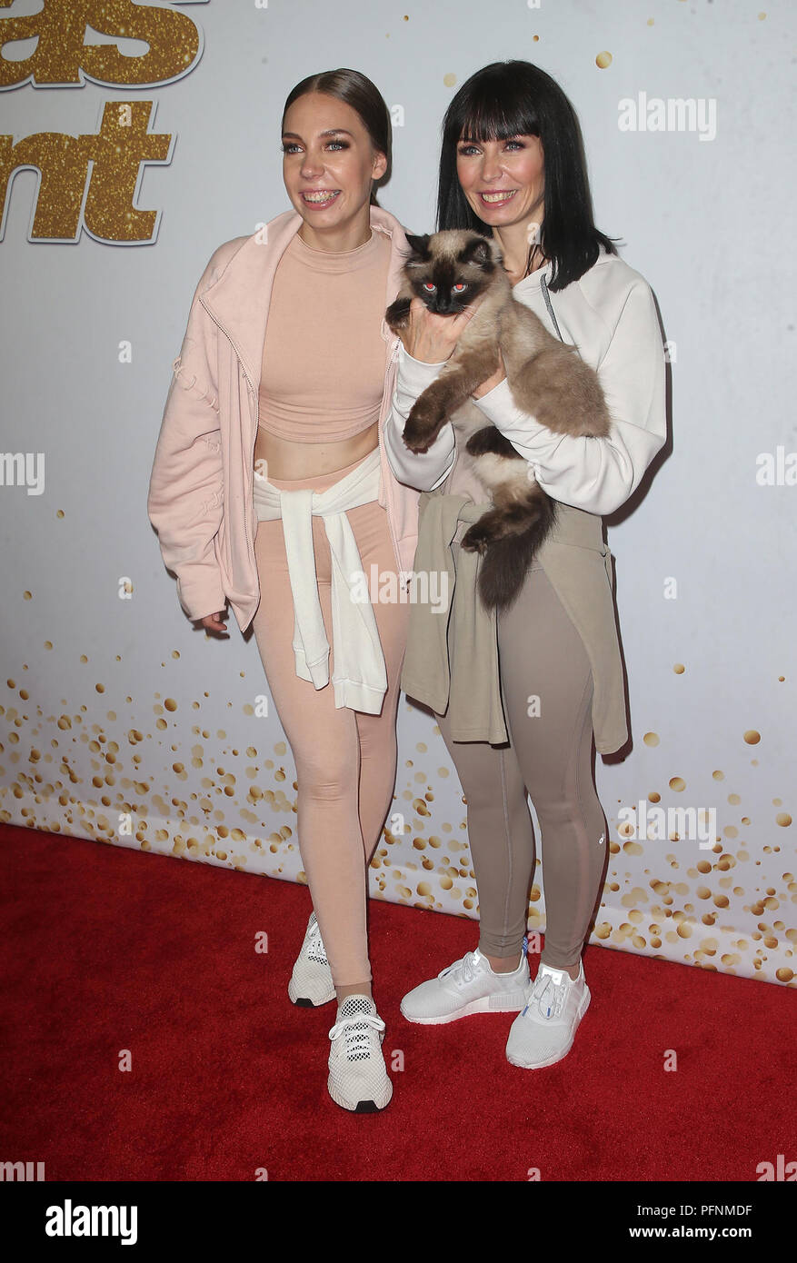 21 August 2018 - Hollywood, California - The Savitsky Cats. "America's ...