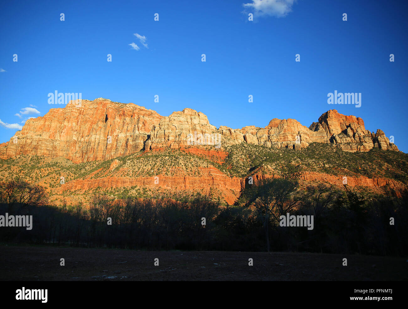 Springdale, Utah, USA. 24th Mar, 2018. A scene from Zion National Park ...