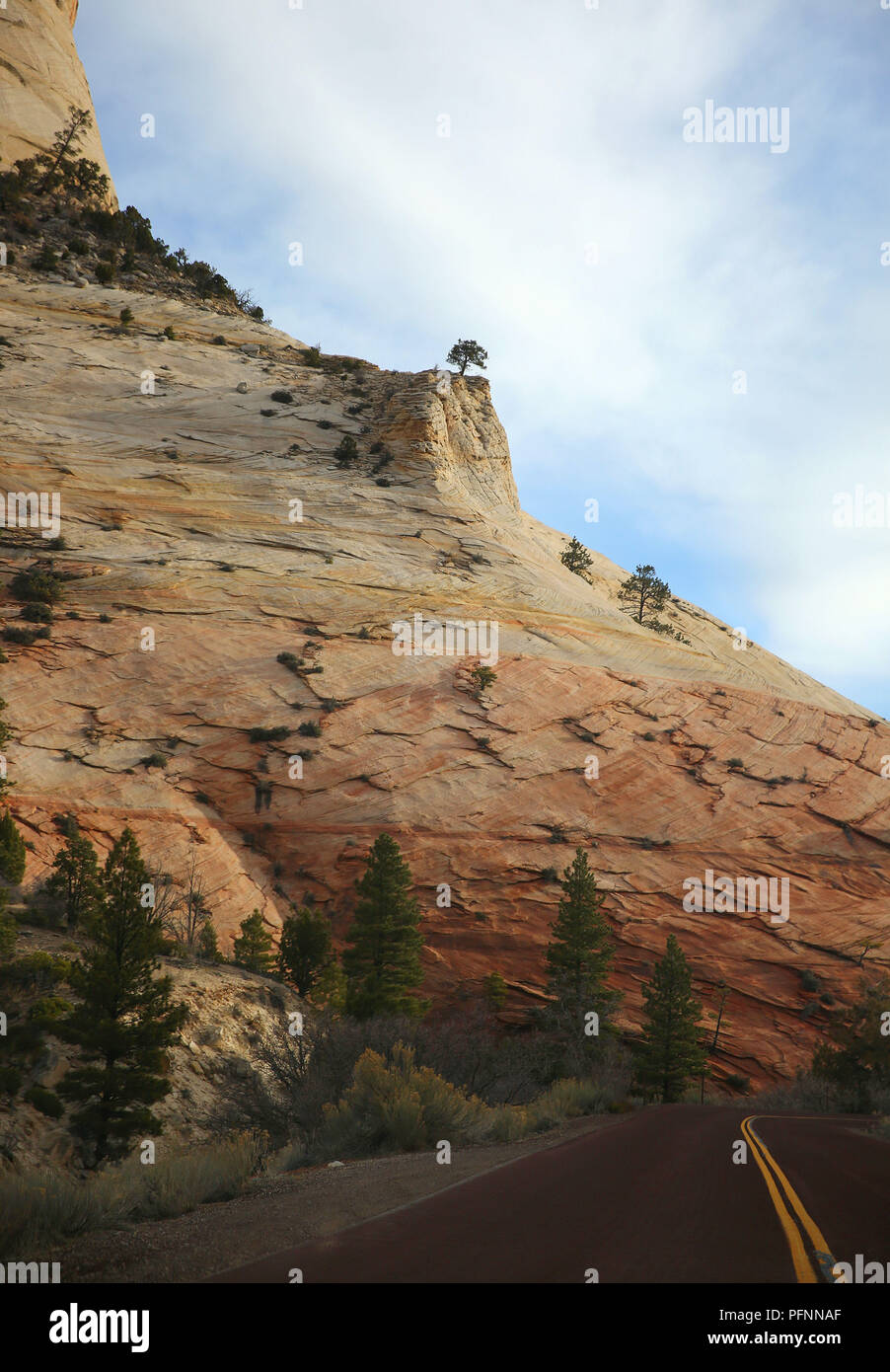 Springdale, Utah, USA. 26th Mar, 2018. A scene from Zion National Park ...
