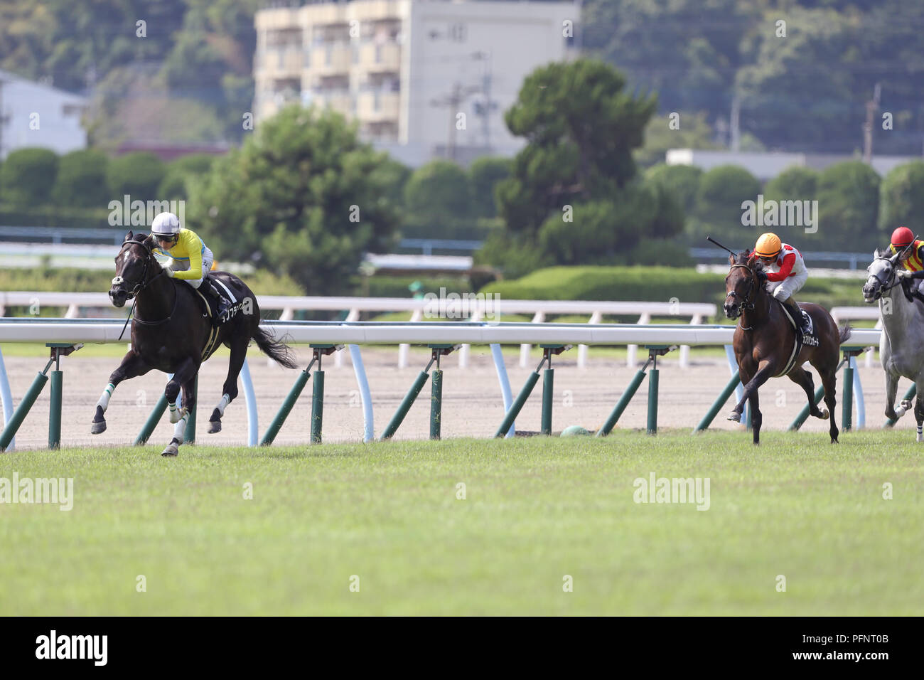 Fukuoka, Japan. 19th Aug, 2018. (L-R) Tanino Frankel (Hideaki Miyuki ...