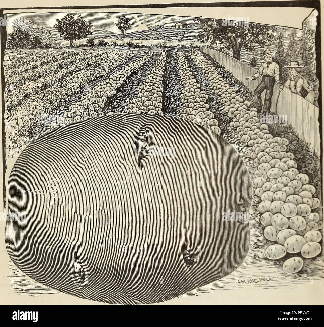 Mellow Mail Catalog Scans