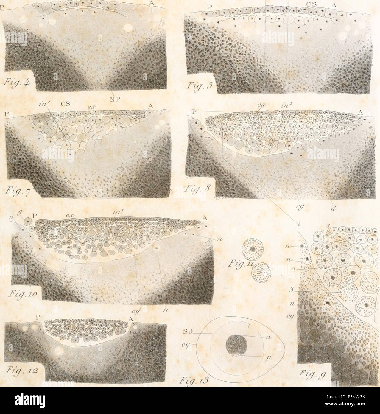 This work by Mathias Duval investigates the development of the ...