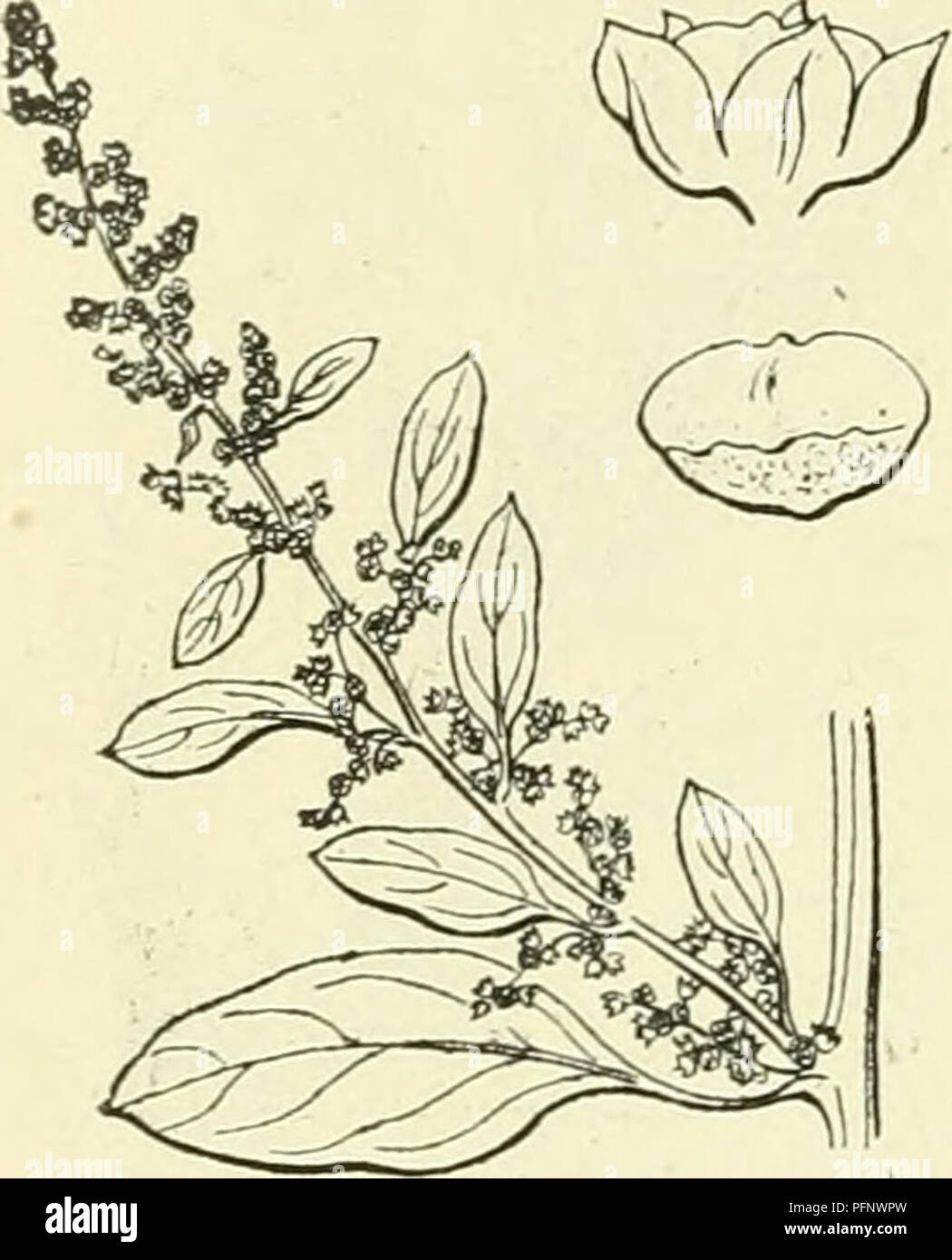 Naakten hi-res stock photography and images - Alamy