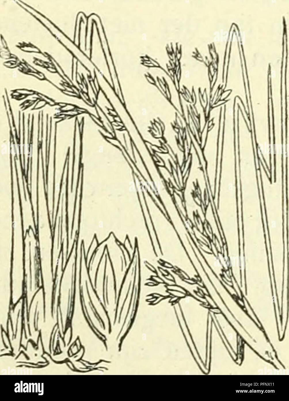 Leemgrond hi-res stock photography and images - Alamy