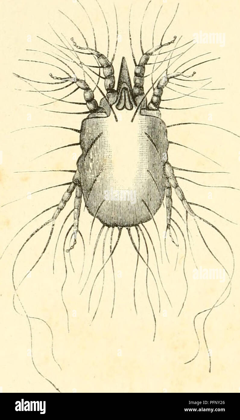. Degeneration : a chapter in Darwinism. Degeneration; Evolution. 38 ...