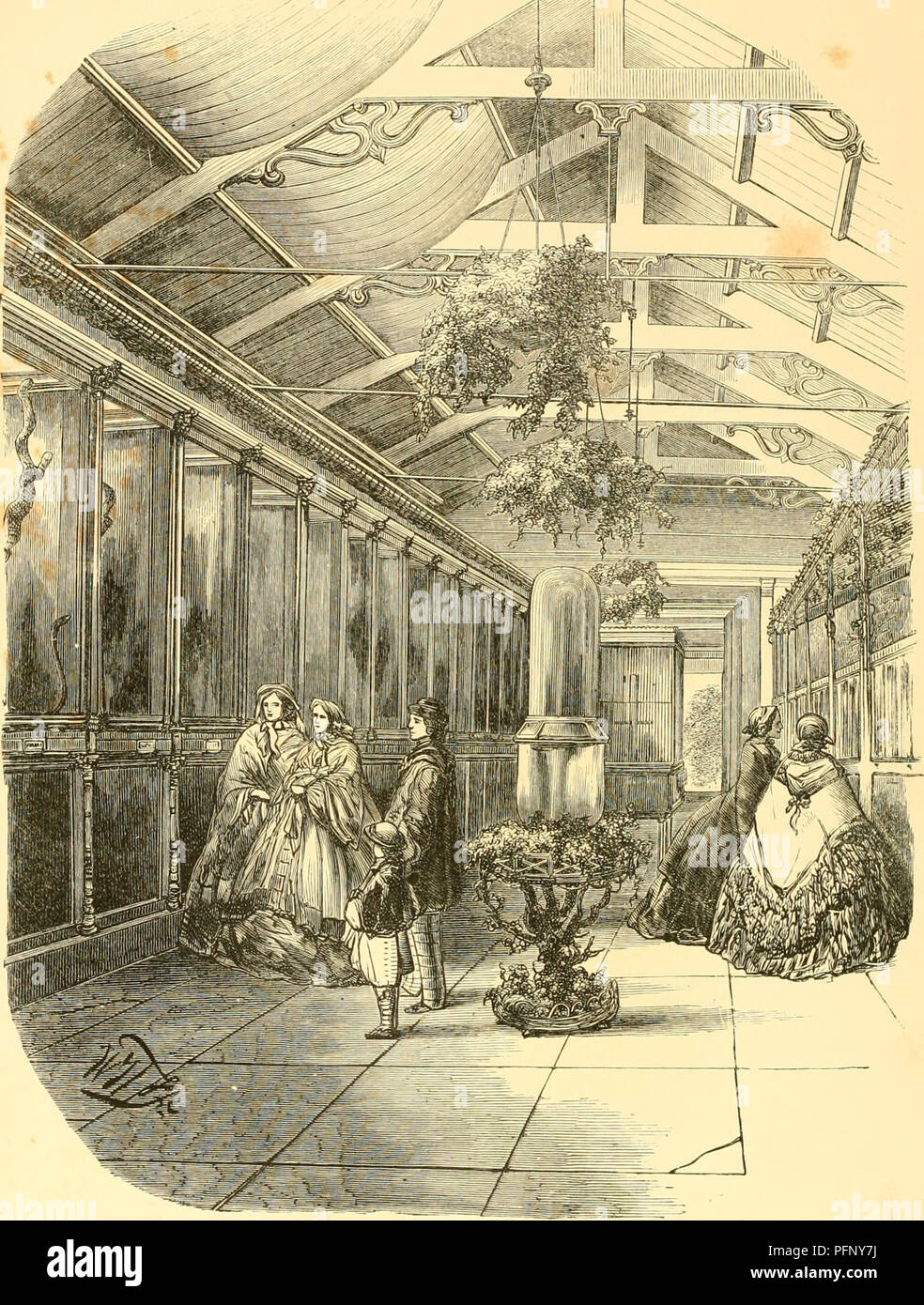 This image documents a zoological exhibition at the Natura Artis ...