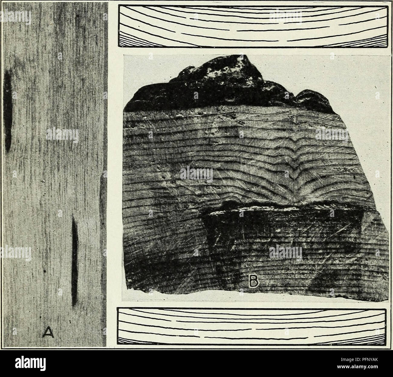 Possible defects hi-res stock photography and images - Alamy