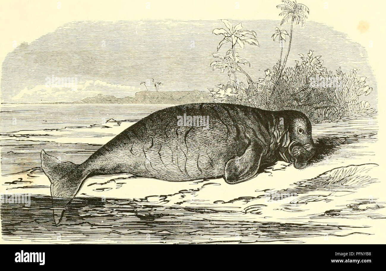 The Royal Zoological Society Natura Artis Magistra in Amsterdam ...