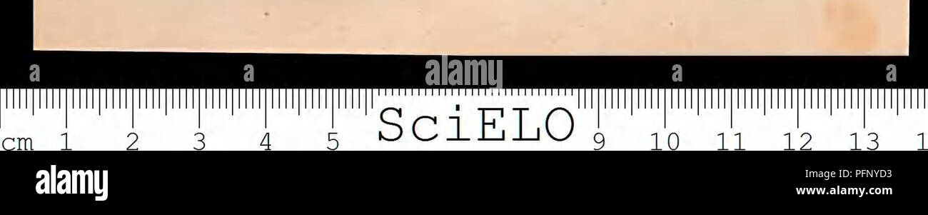 Addresses venomous snakes of the Viperidae and Crotalidae families ...