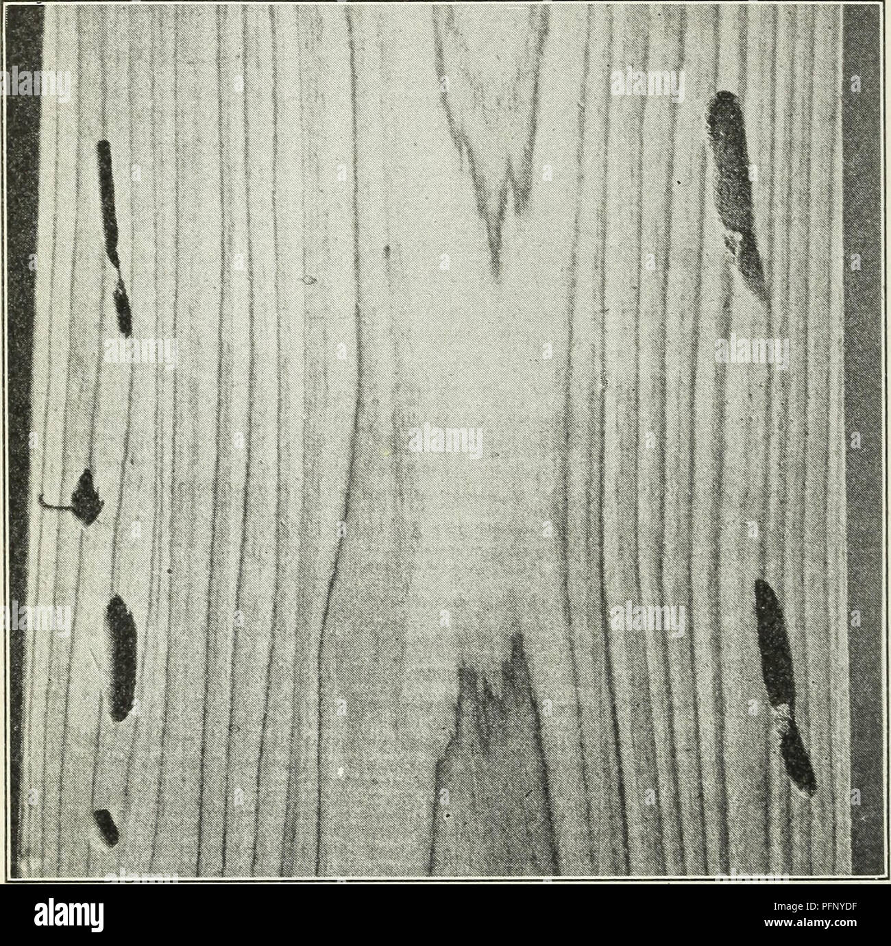 This bulletin from the U.S. Department of Agriculture outlines the ...