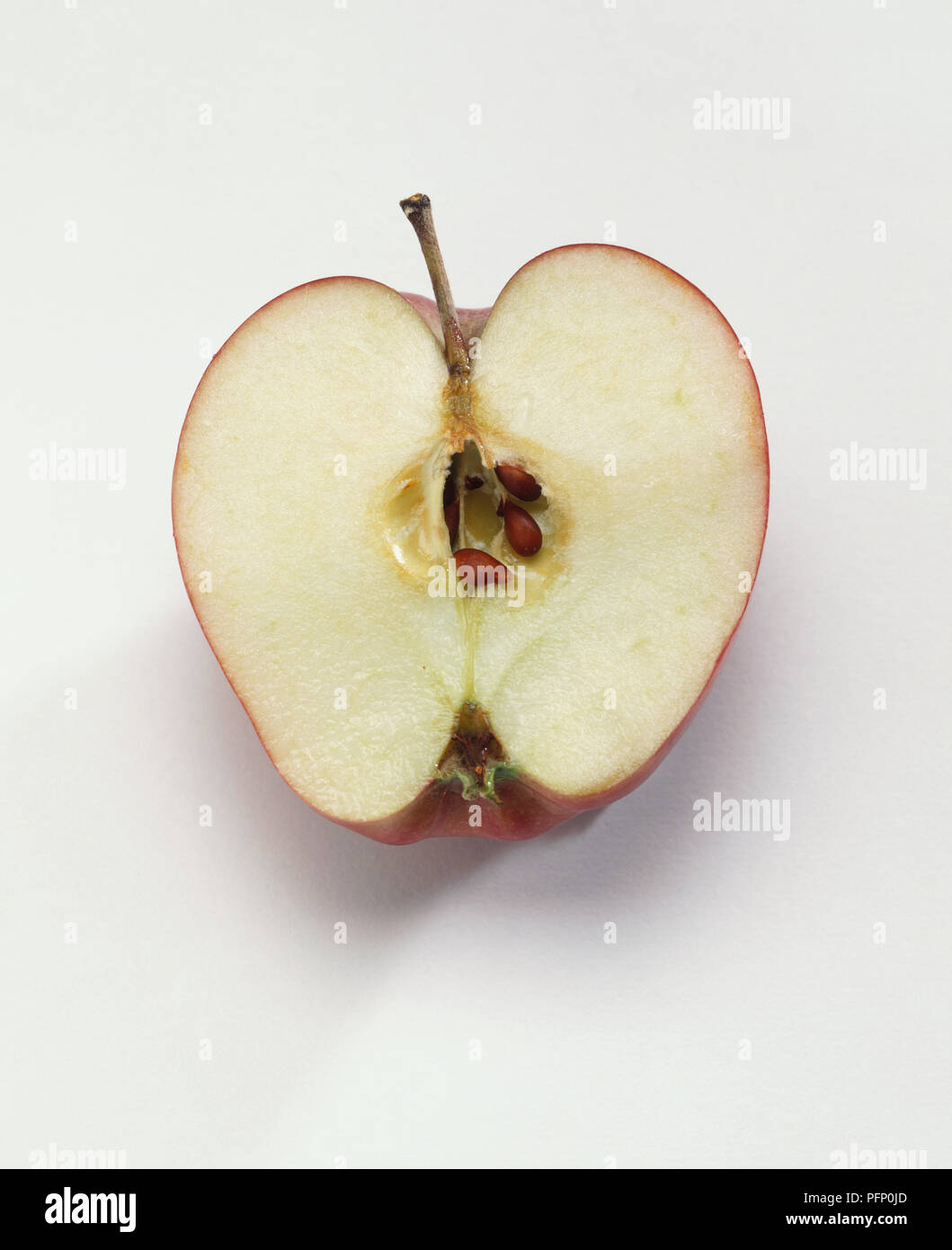Malus domestica, Apple, apple half showing core and seeds Stock Photo ...
