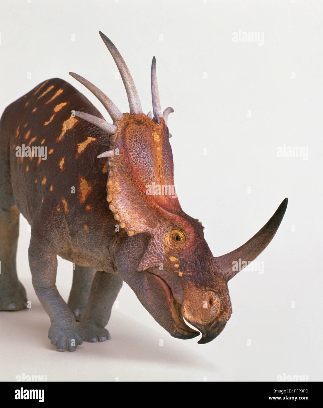 Dinosaur era hi-res stock photography and images - Alamy