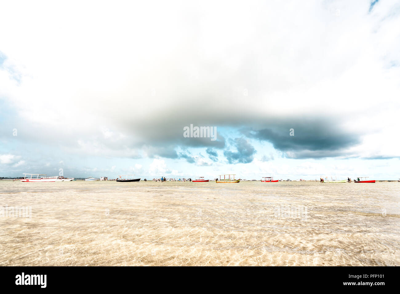 Paradise tropical Beach in Brazil, Carneiros Beach, Pernambuco Stock ...