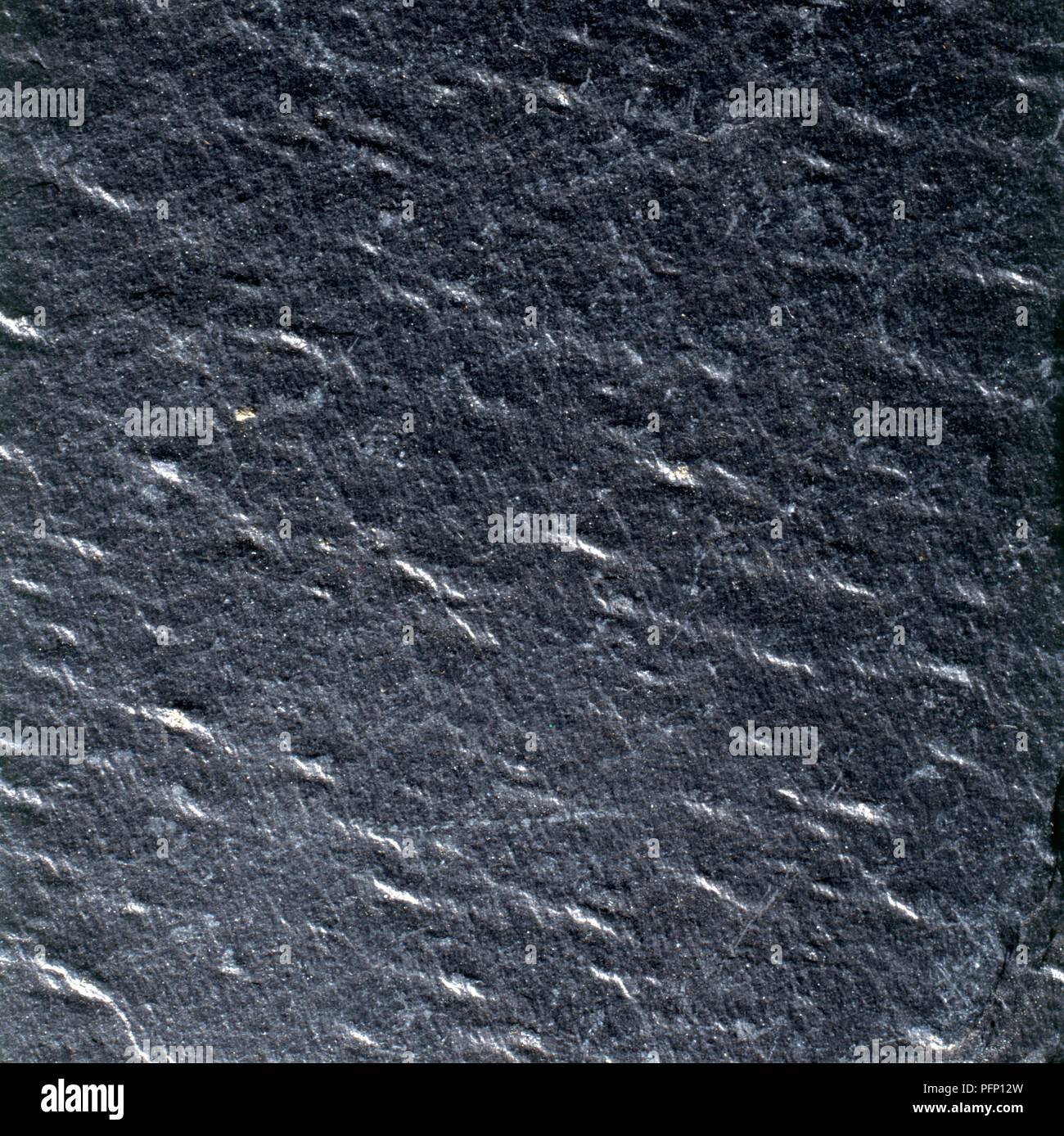 Fine grained hi-res stock photography and images - Alamy