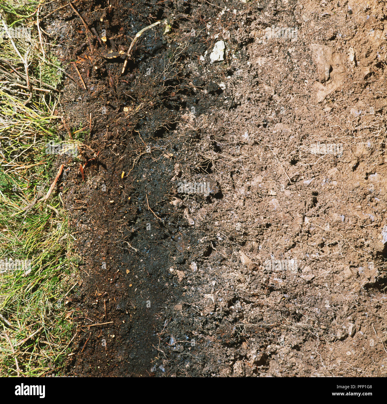 Moorland textures hi-res stock photography and images - Alamy