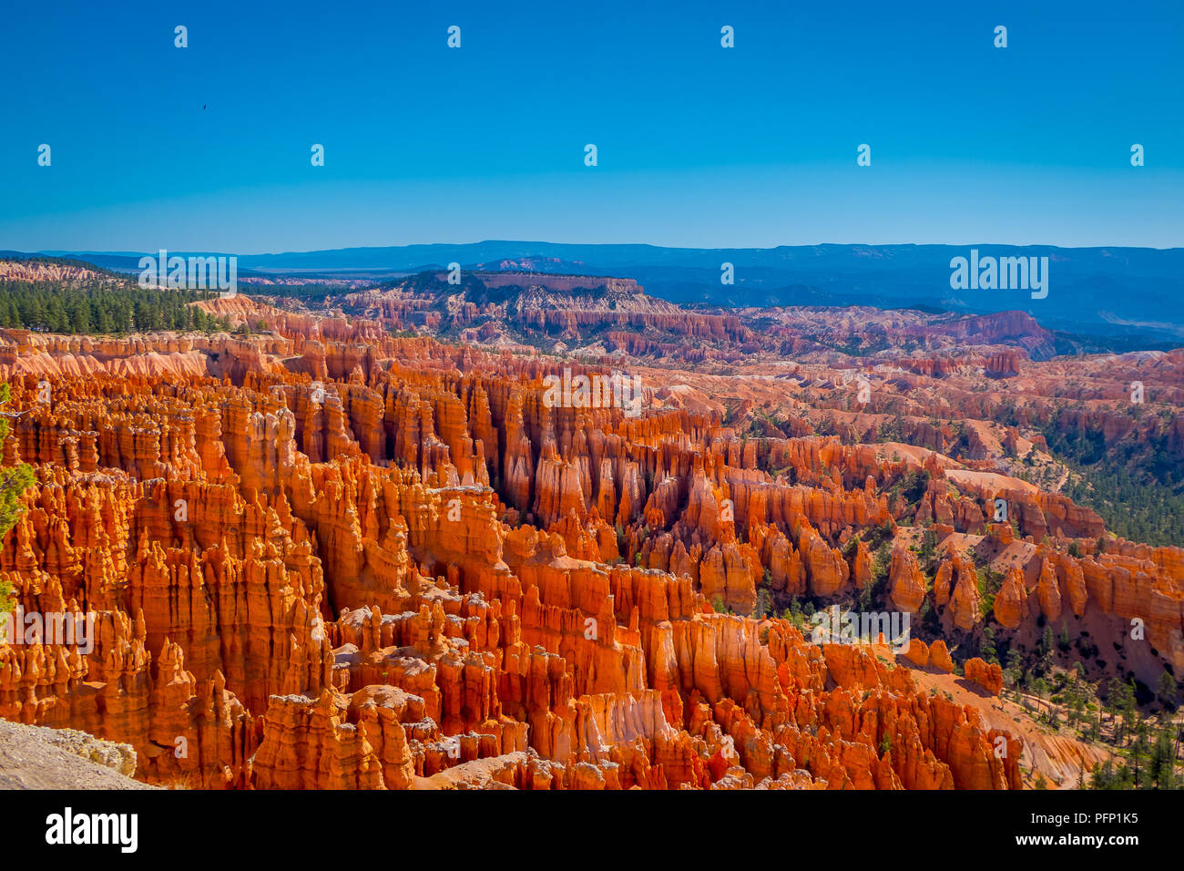 Bryce Amphitheater in a beautiful sunny day and blue sky in Bryce ...