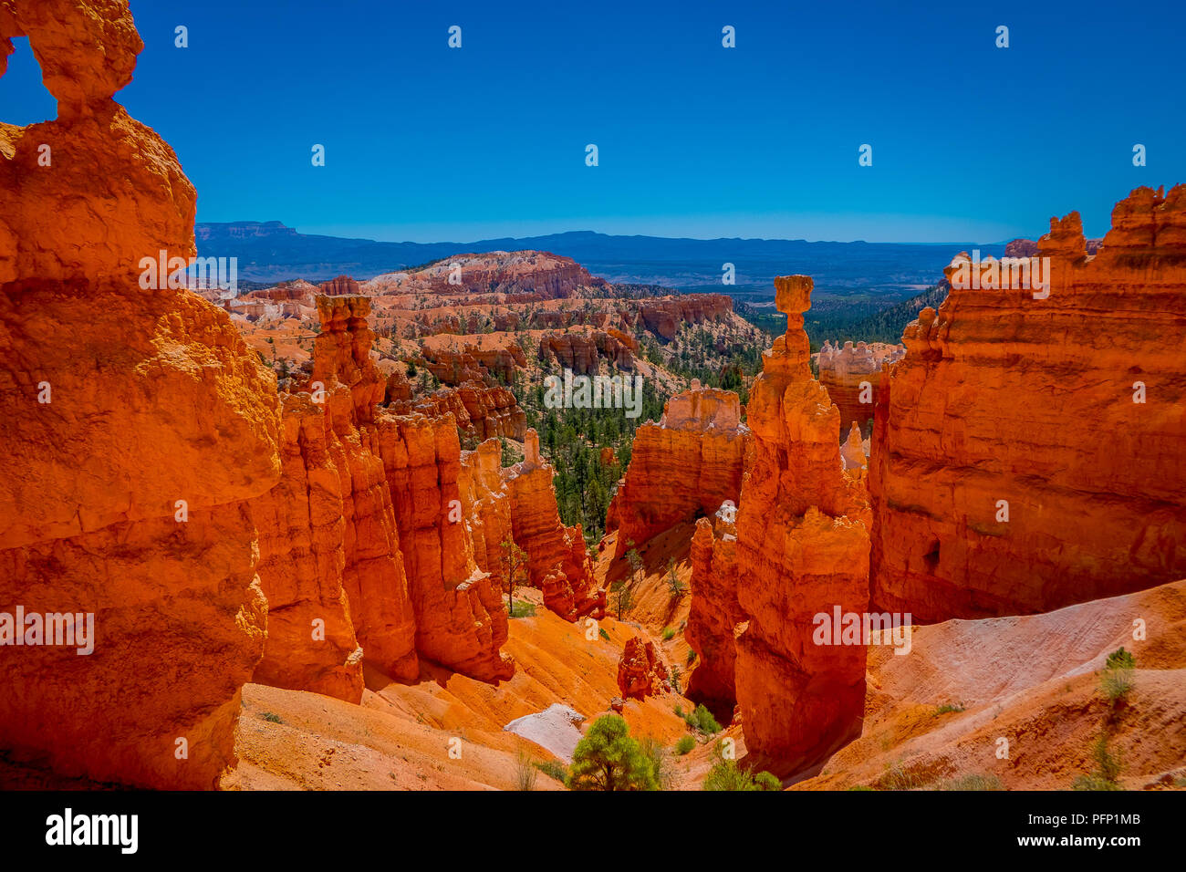 Great spires carved away by erosion in Bryce Canyon National Park, Utah ...