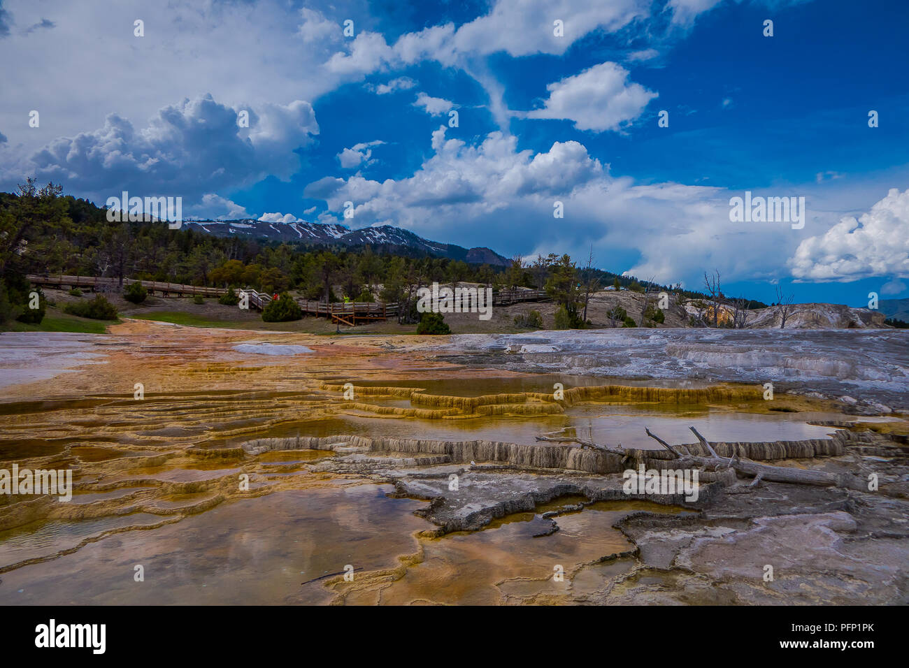 Mesa rock patterns at mamoth hot springs in Yellowstone National Park ...