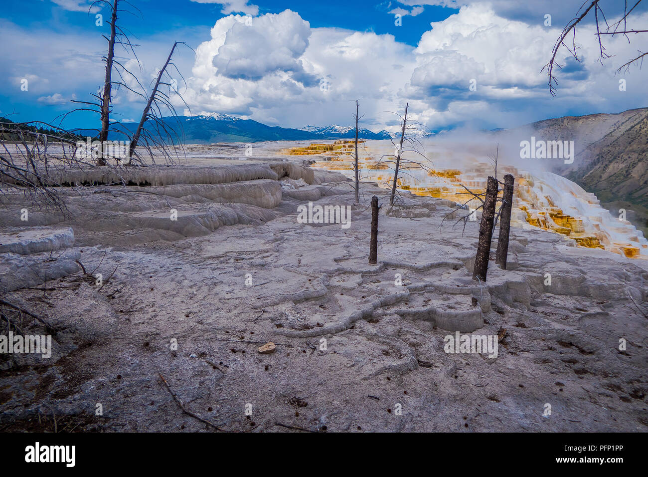 Canarysprings hi-res stock photography and images - Alamy