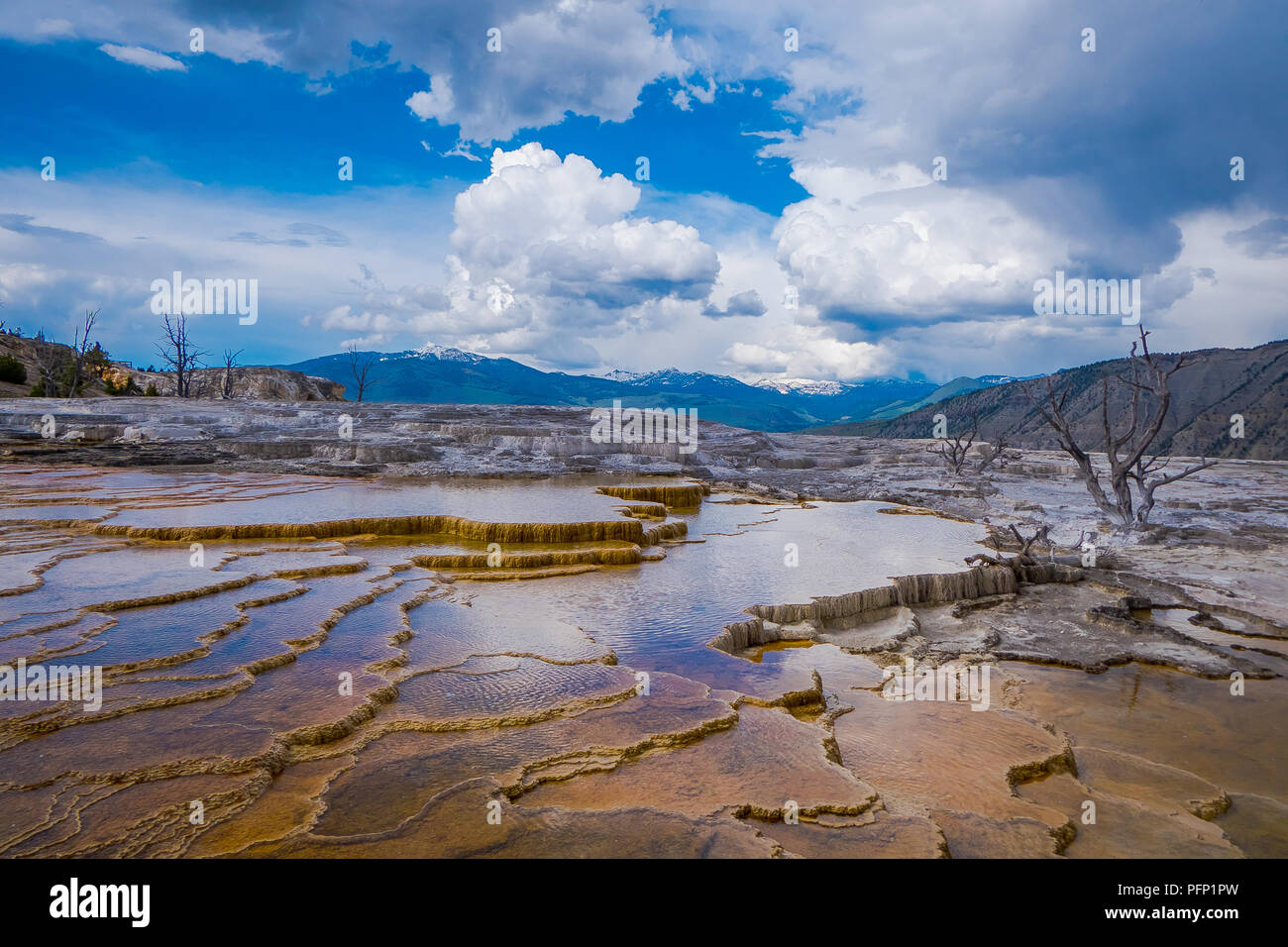 New Highland Terrace, Mammoth Hot Springs, Yellowstone National Park ...