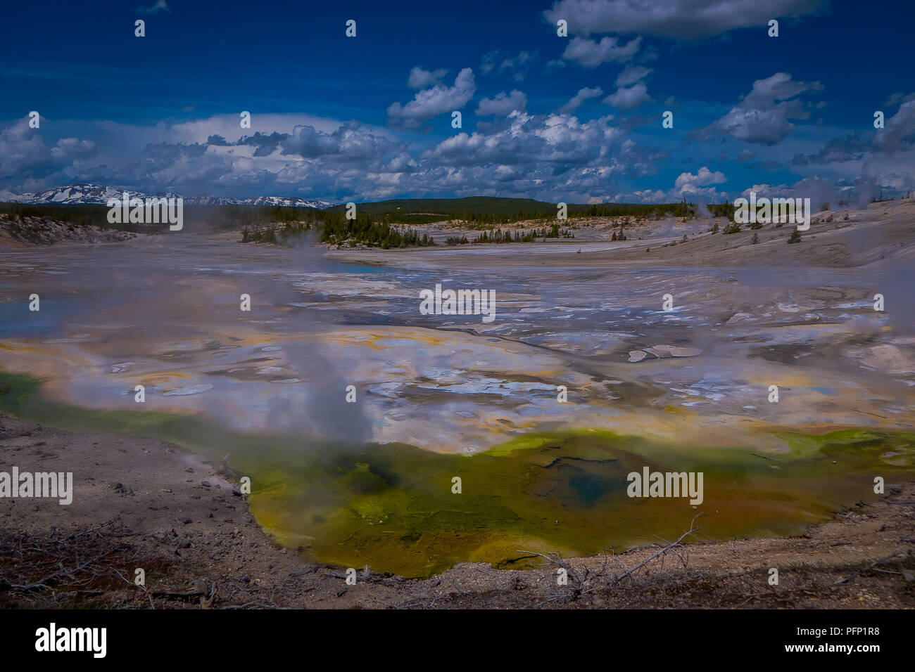 Steaming opaque thermal pools at Norris Geyser Basin. Yellowstone ...