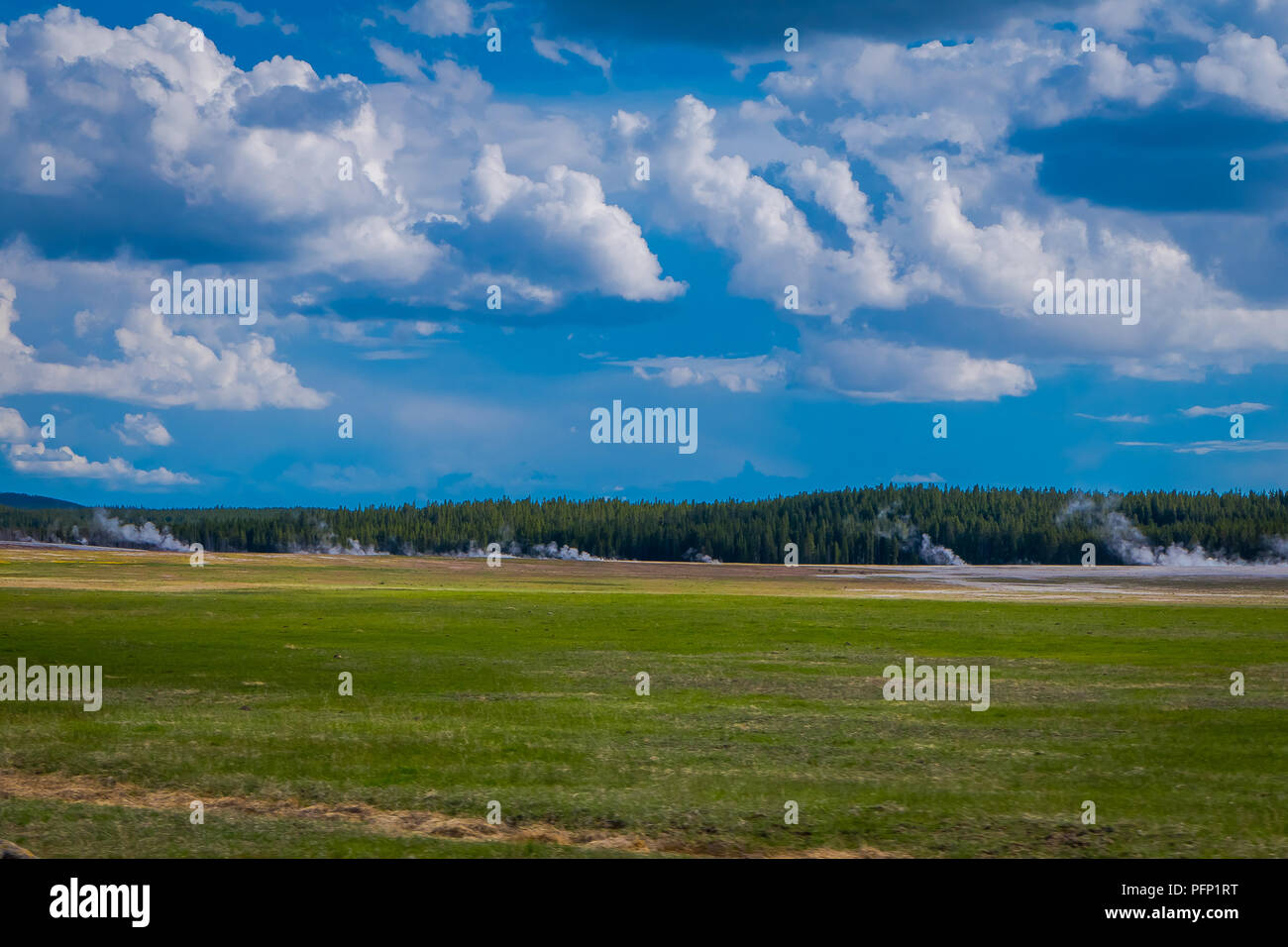 Amazing landscape of small geysers, hot springs, and vents. The ...