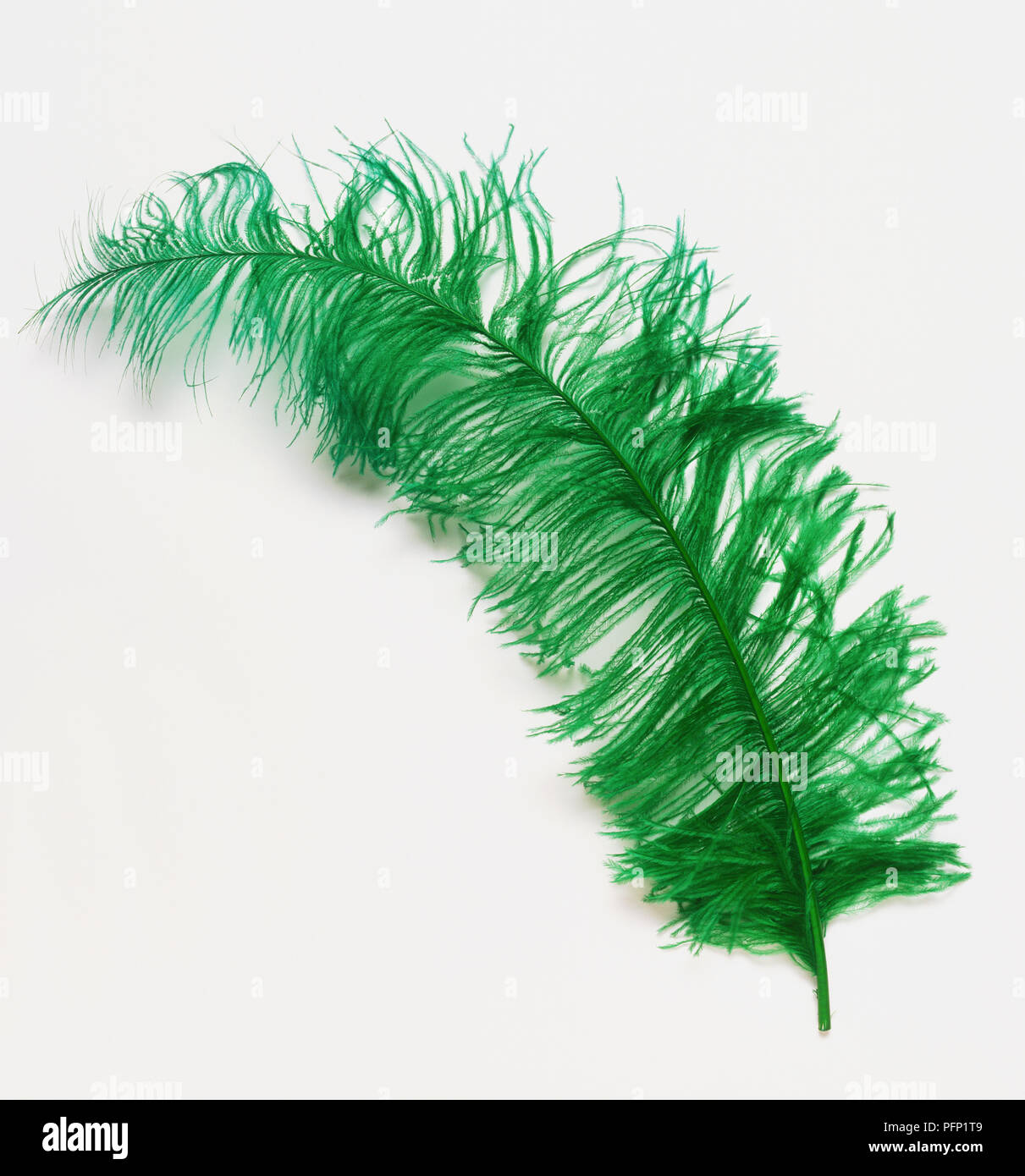 Feather accessories hi-res stock photography and images - Alamy