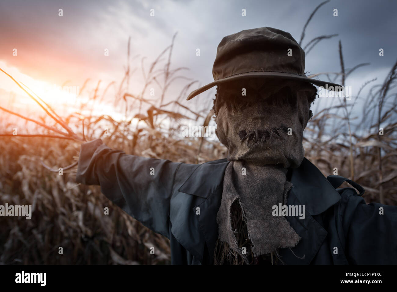 Scary scarecrow in a hat Stock Photo - Alamy