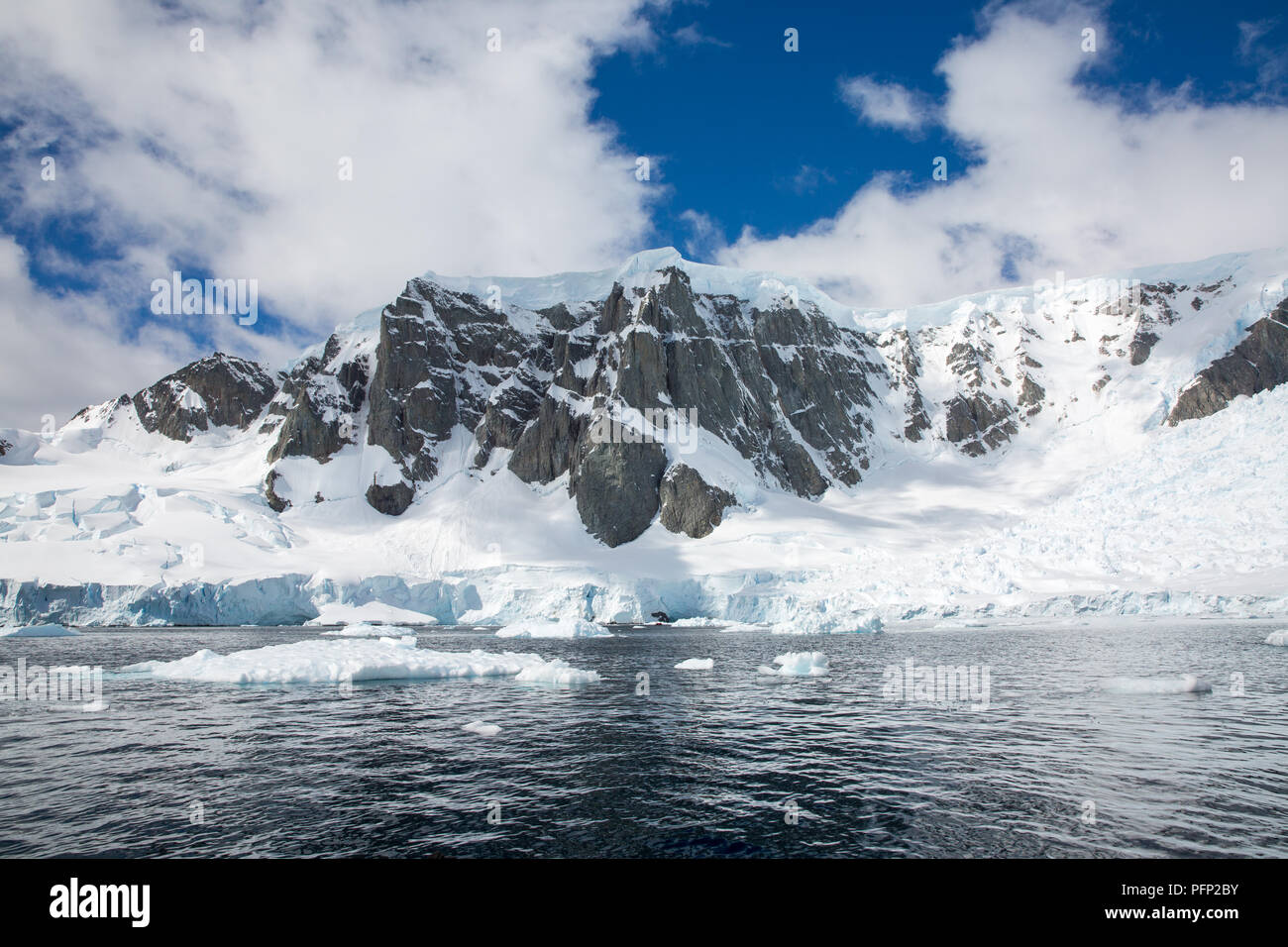 icecaps in the Antarctica with iceberg in the ocean swimming around and ...