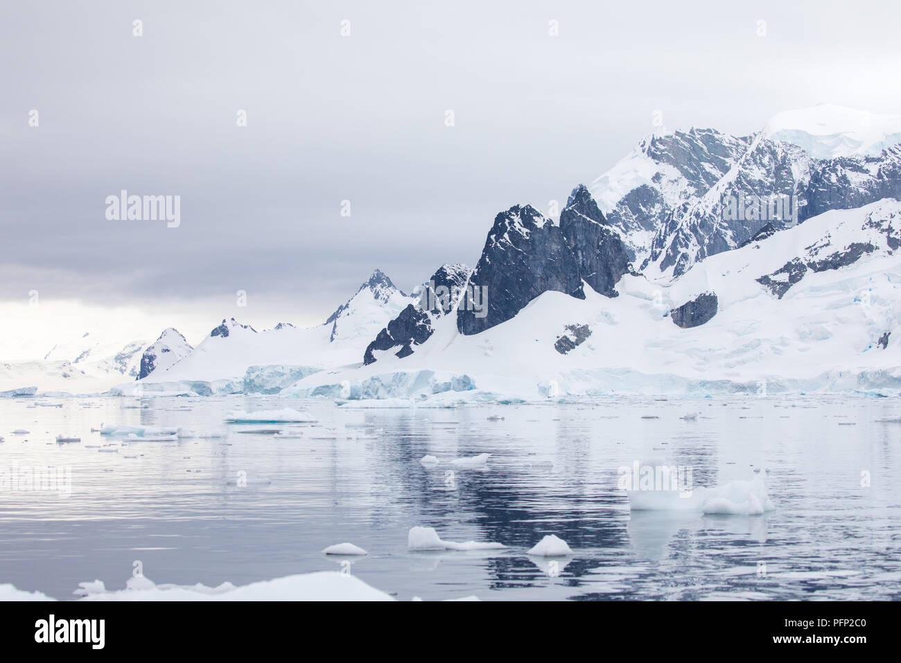 icecaps in the Antarctica with iceberg in the ocean swimming around and ...