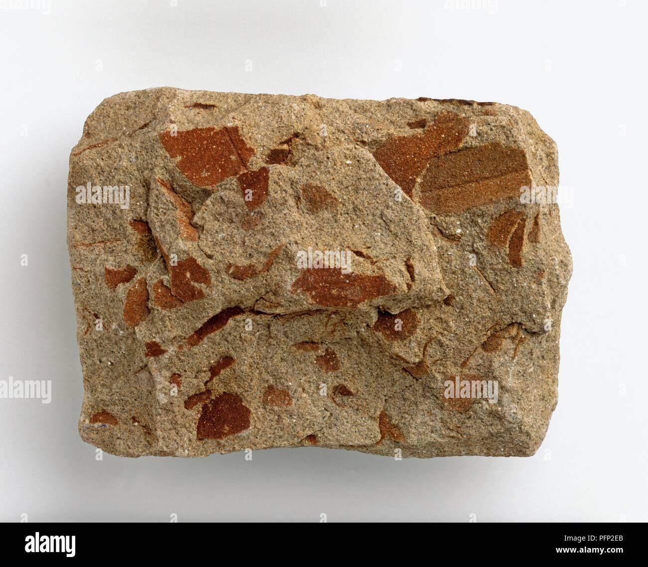 Micaceous sandstone with patches of iron oxide on surface Stock Photo ...