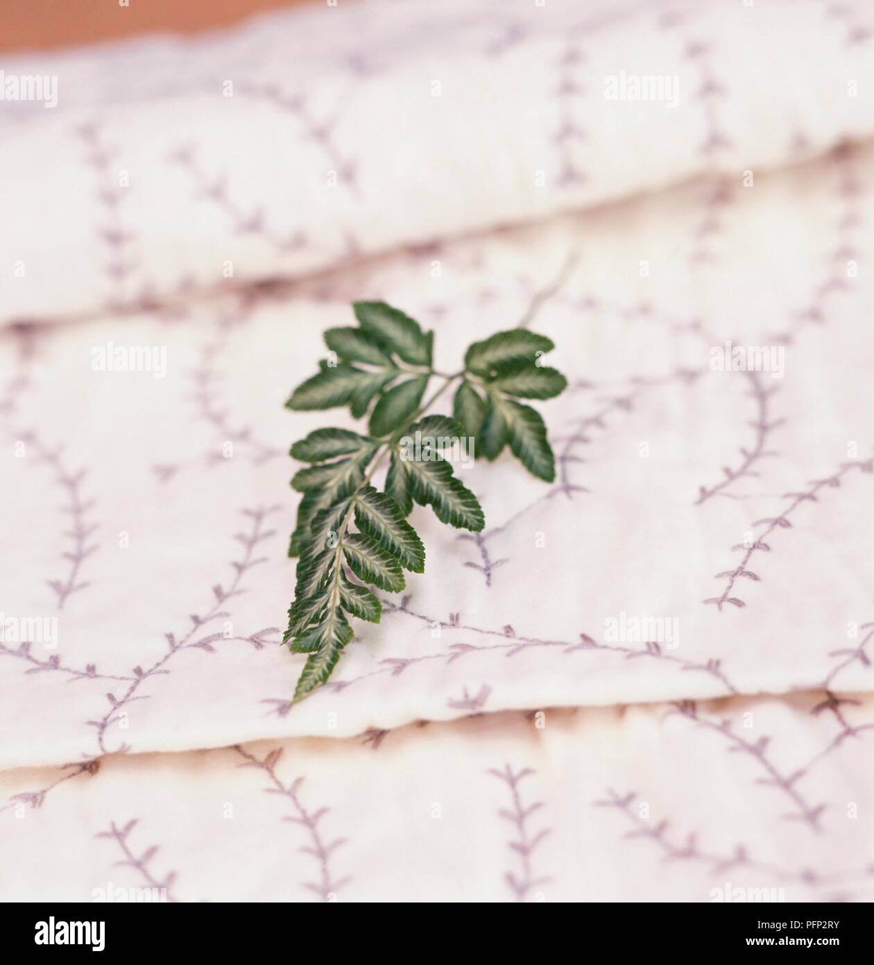 Leaf of paper hi-res stock photography and images - Alamy