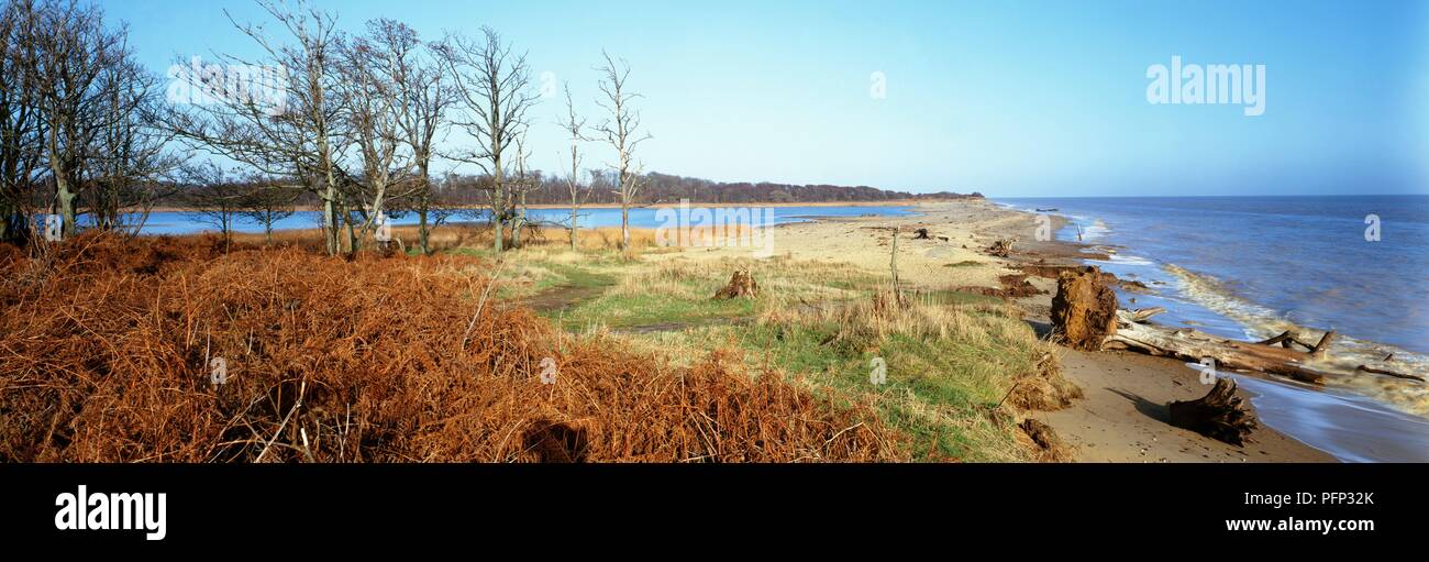 Coastal scene showing effects of erosion Stock Photo - Alamy