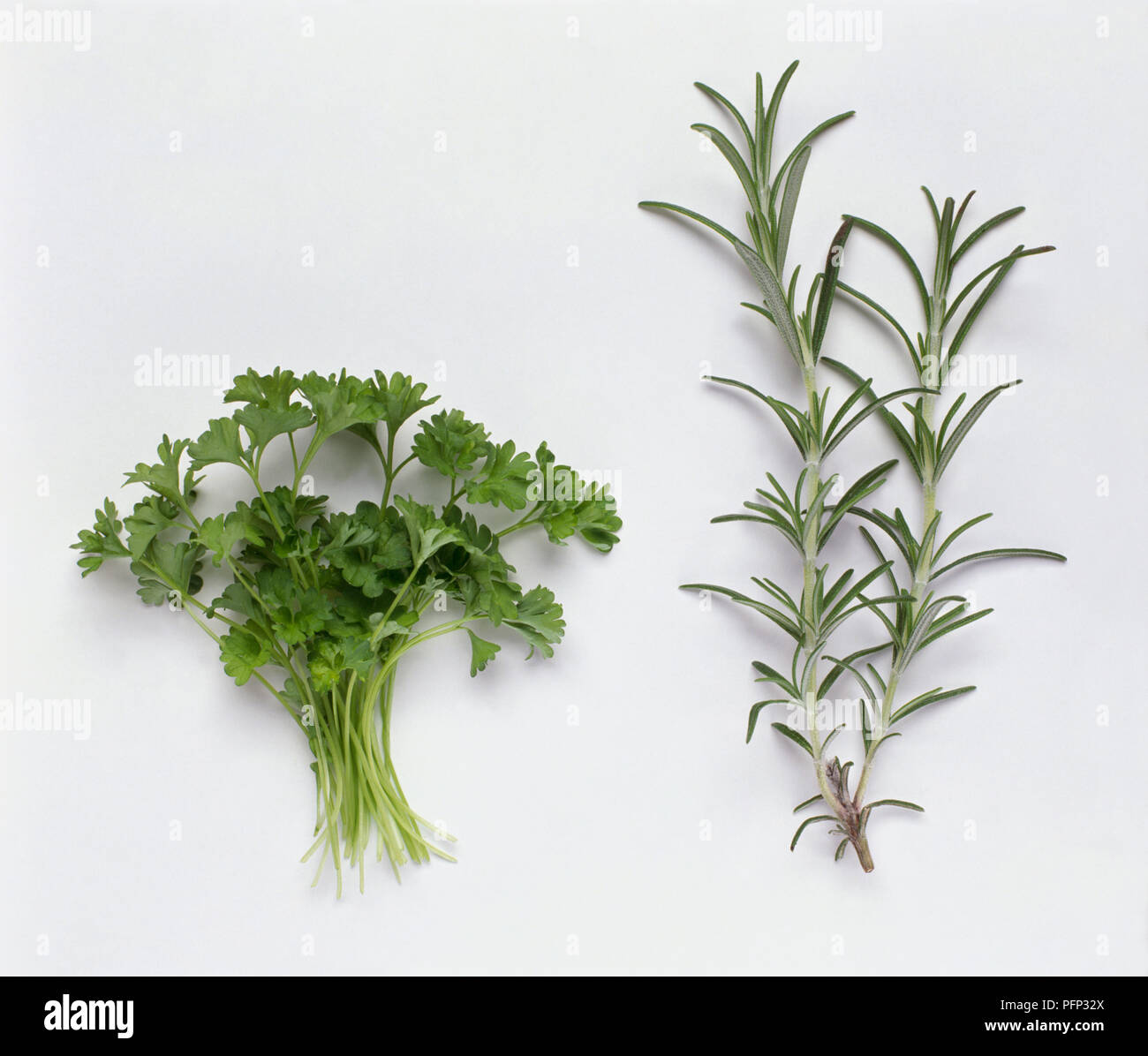 Sprigs of rosemary and parsley Stock Photo - Alamy