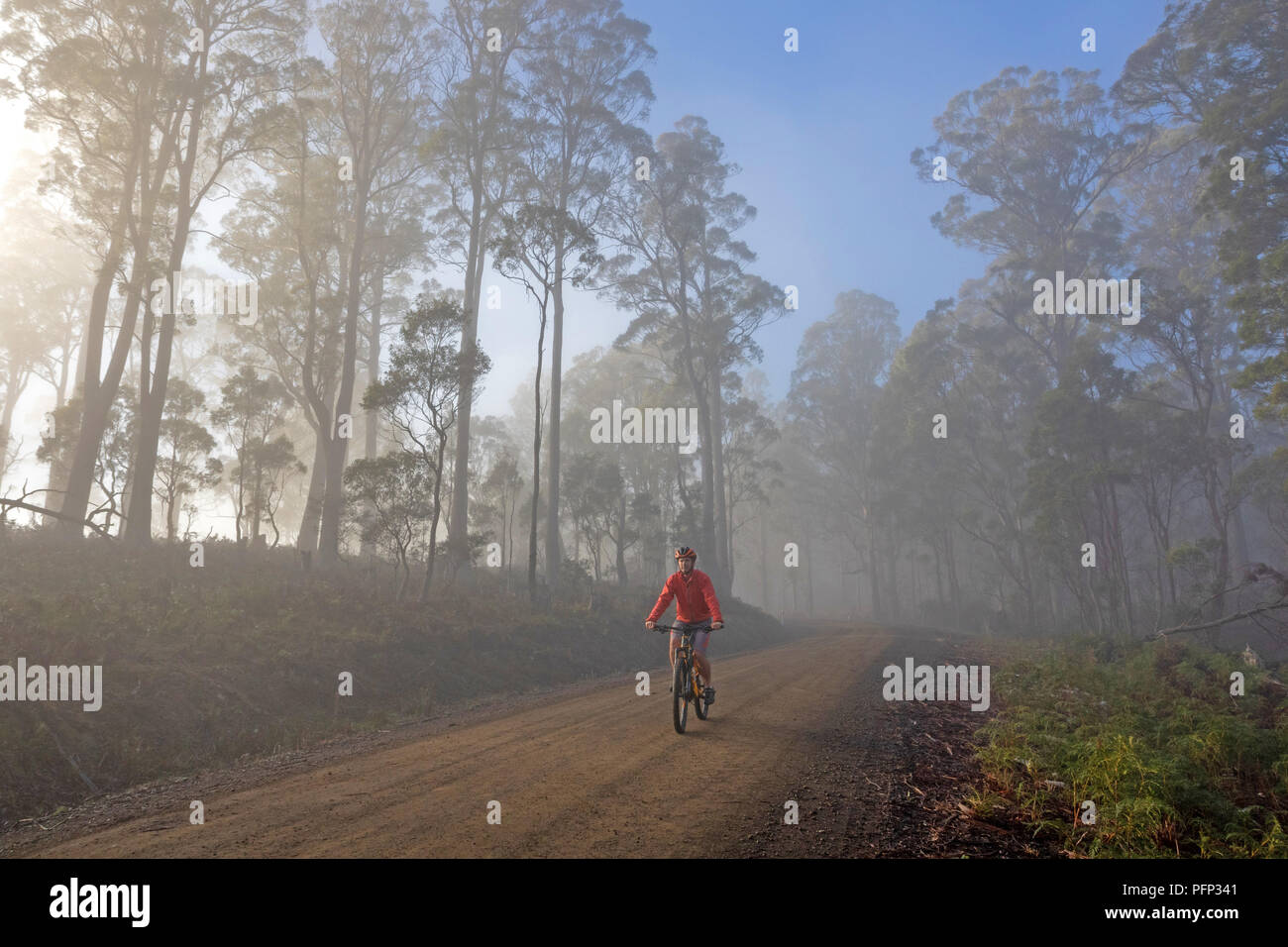 Mist cyclist hi-res stock photography and images - Alamy