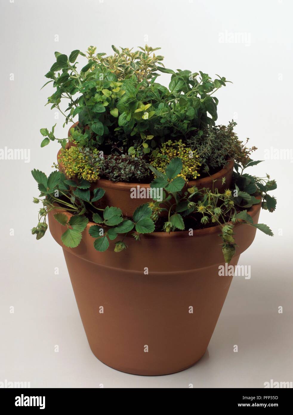 Larger containing hi-res stock photography and images - Alamy